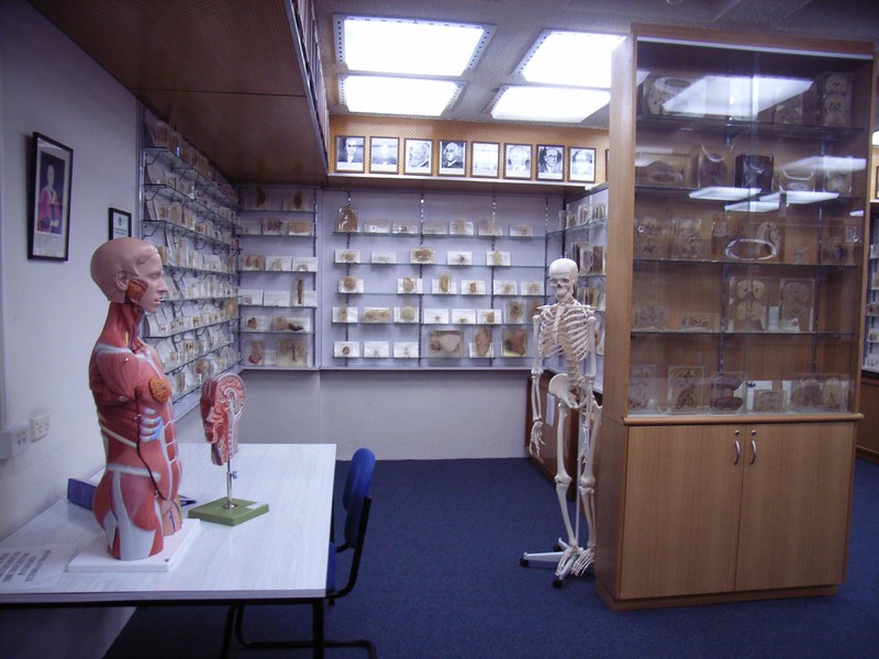 R.A Rodda Pathology Museum · Exhibit
